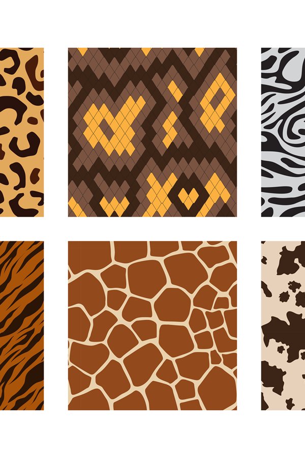 Animal skins. Pattern of african jungle animals leopard tige