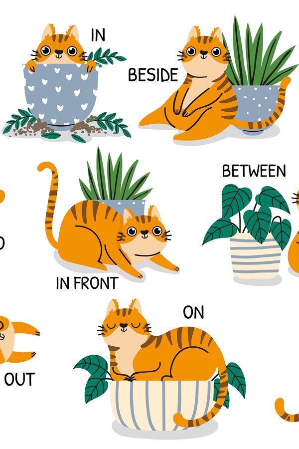 English prepositions. Educational visual material for kids l