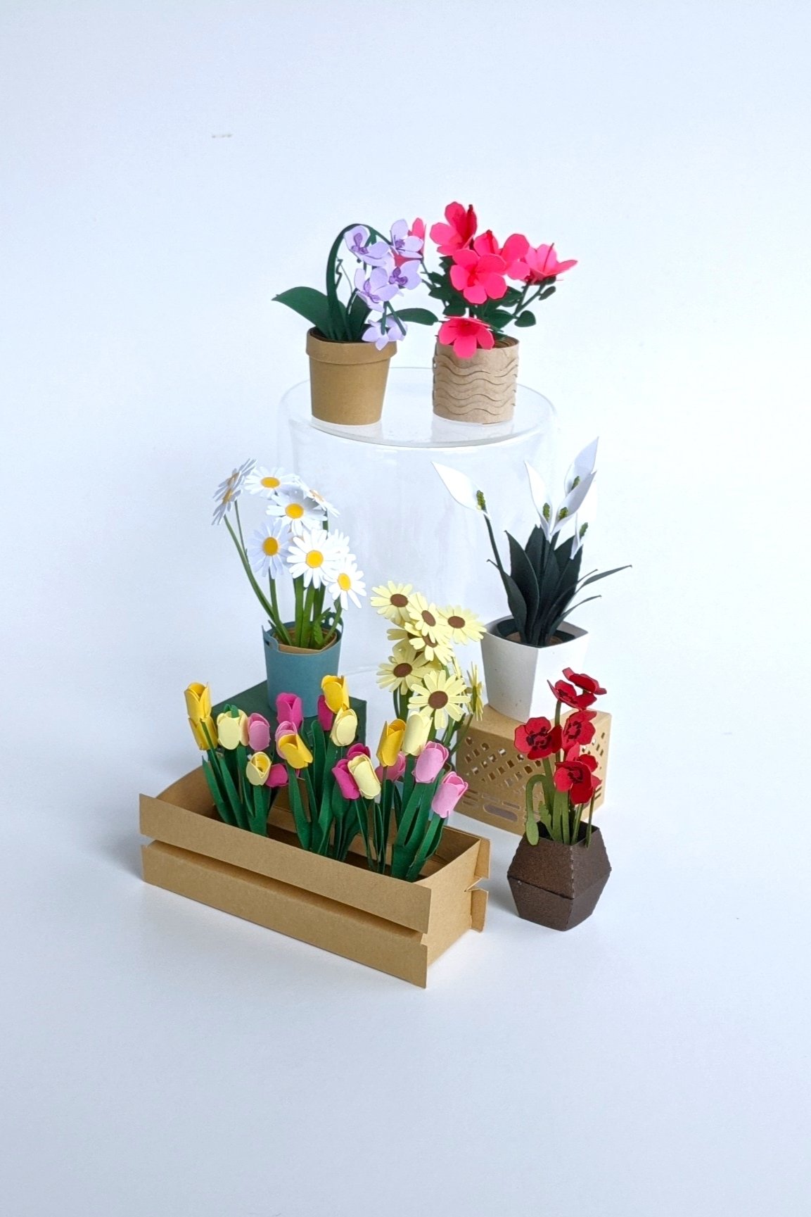 Paper Flower Template Bundle for Cutting Machines