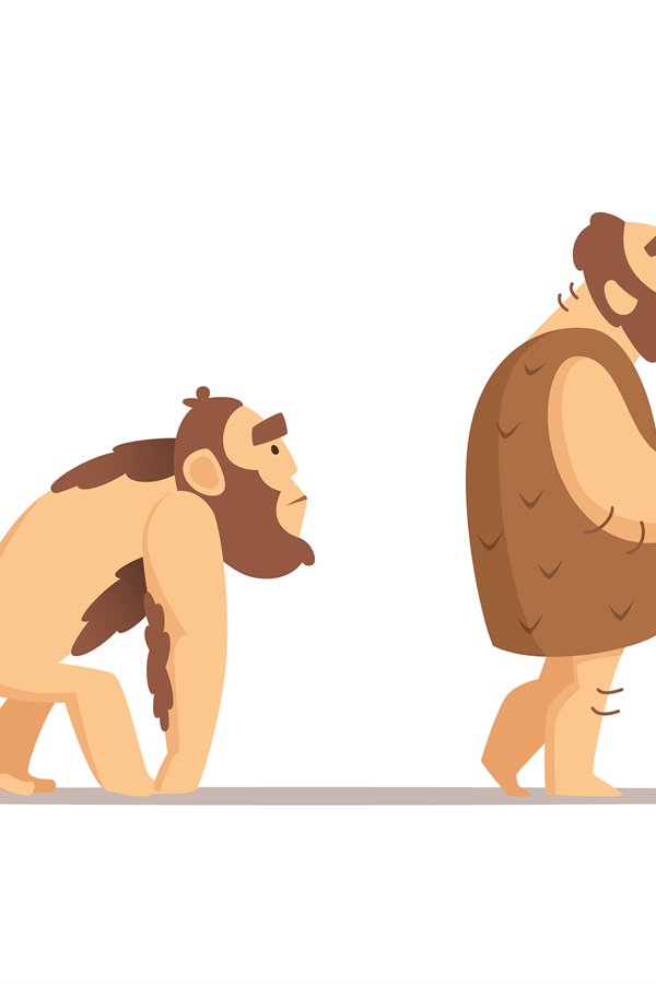 Biology evolution of homo sapiens. Vector characters in cart