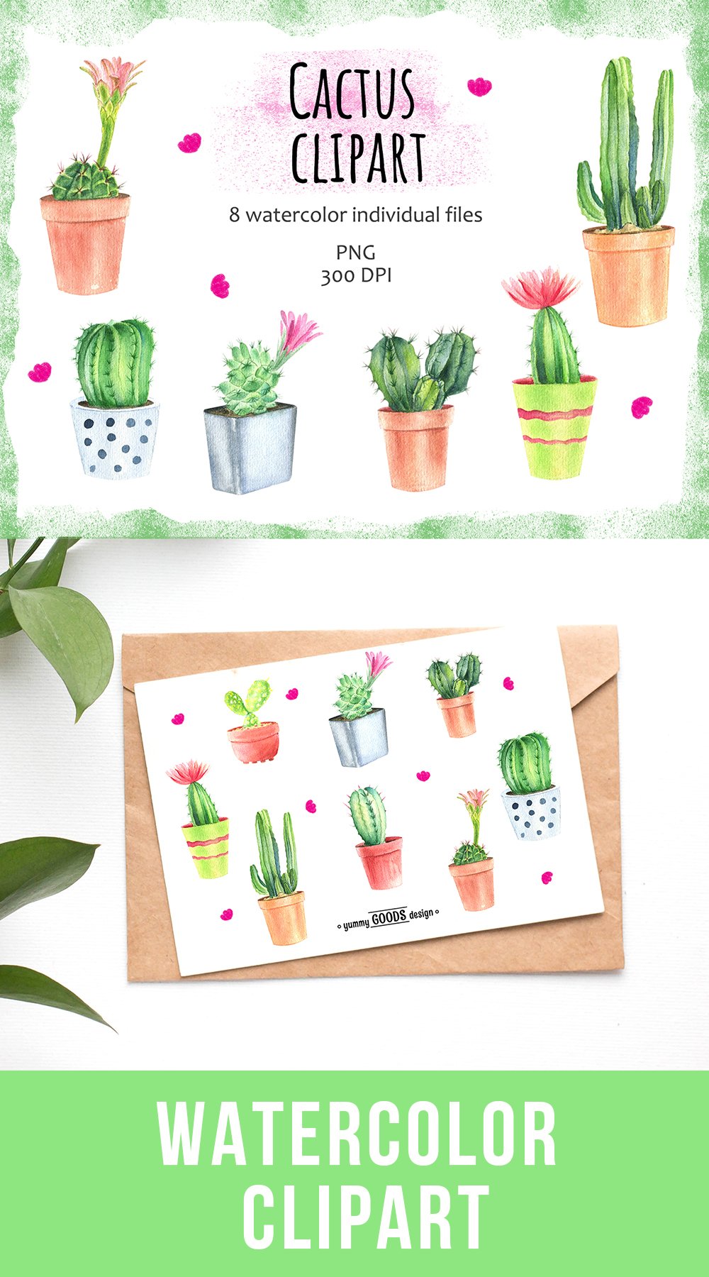 Watercolor Cactus Clipart. Succulent flower in pots.