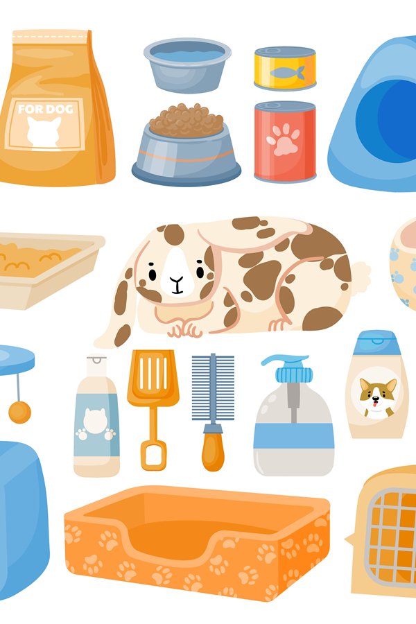 Care tools and accessory for domestic animals, dogs, cats an
