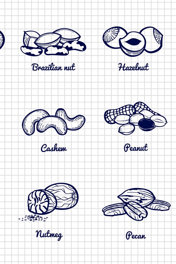 Nuts sketch. Hand drawn popular nuts vector set