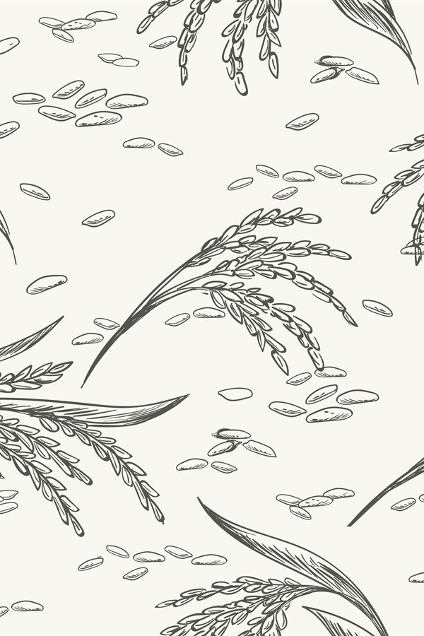 Rice seamless pattern (1247096)