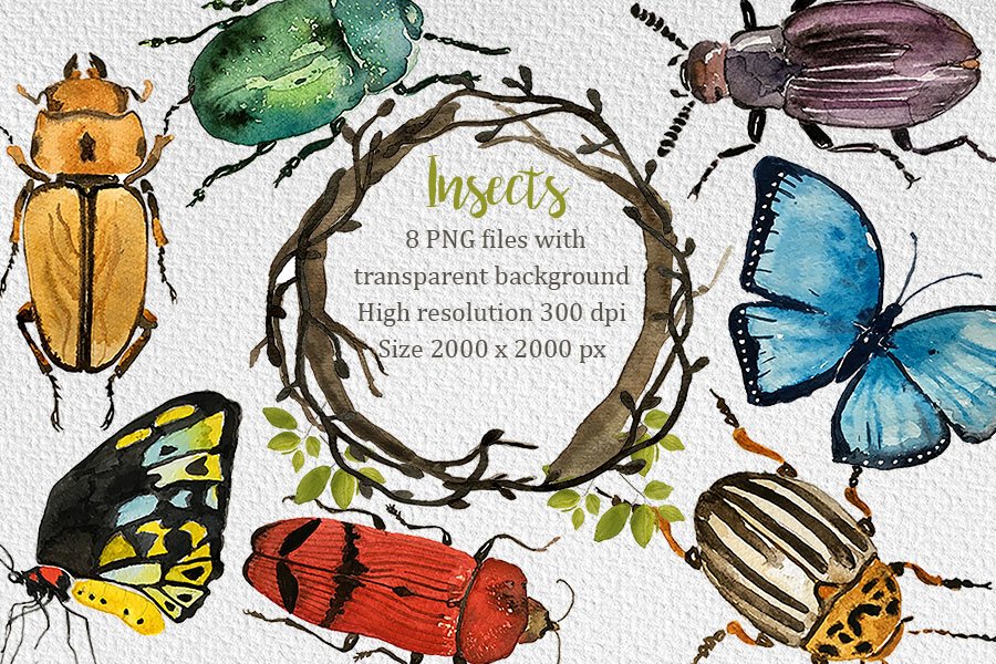 Bugs & butterflies, insects watercolor set