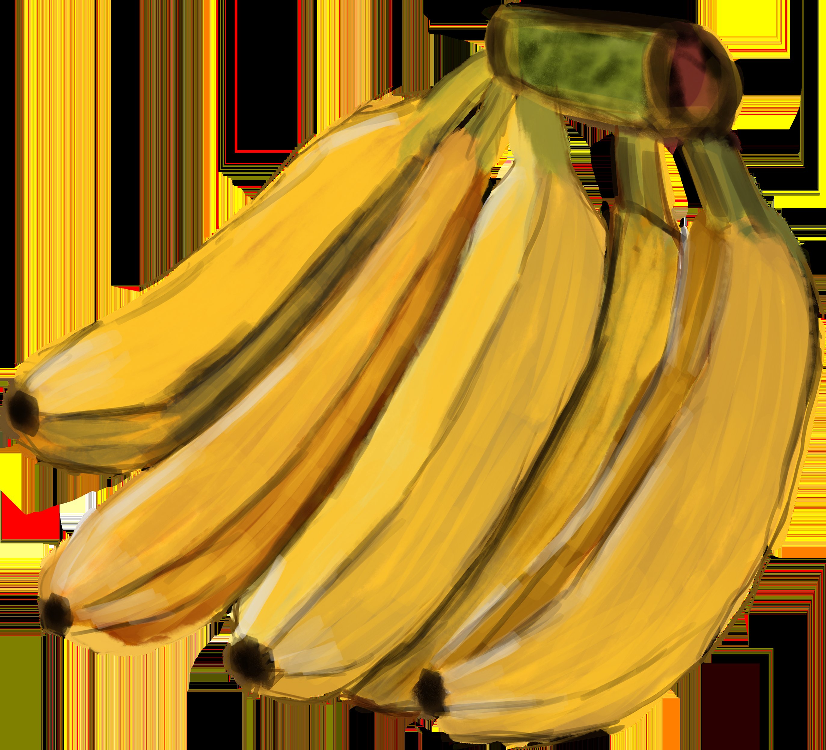 Watercolor Banana Clipart, Fruit clipart