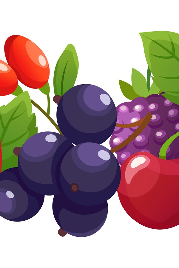 Fresh berries composition. Isolated cartoon berry, red cherr