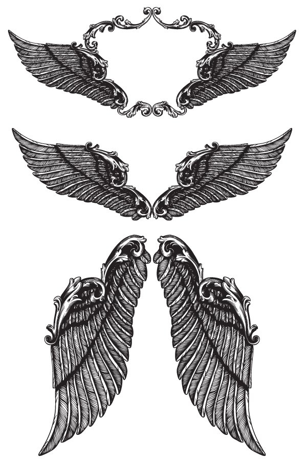 Angel wings svg, Wings svg, Wings clipart, Wings frame split
