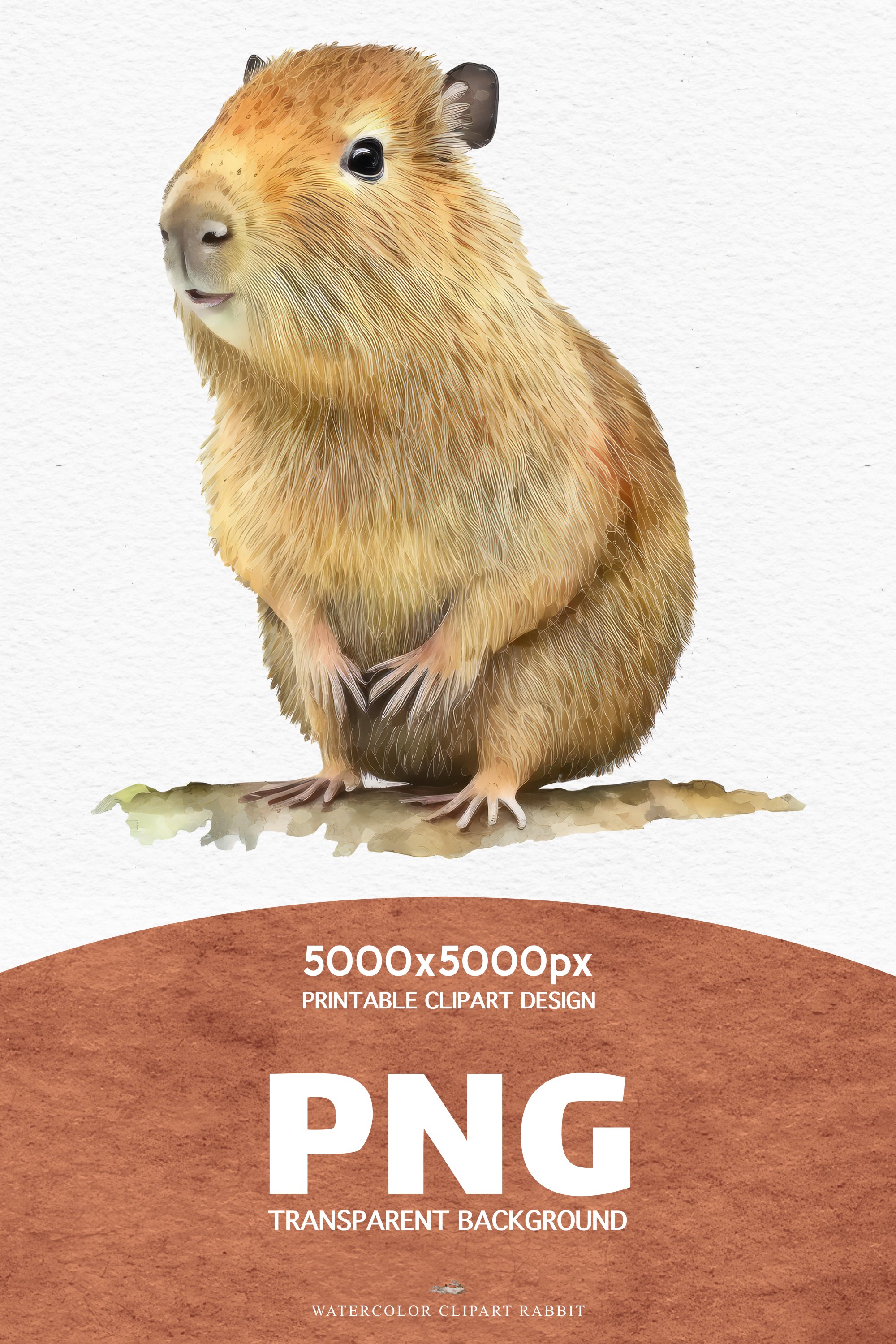 Watercolor Capybara Forest Animals Clipart PNG Illustration