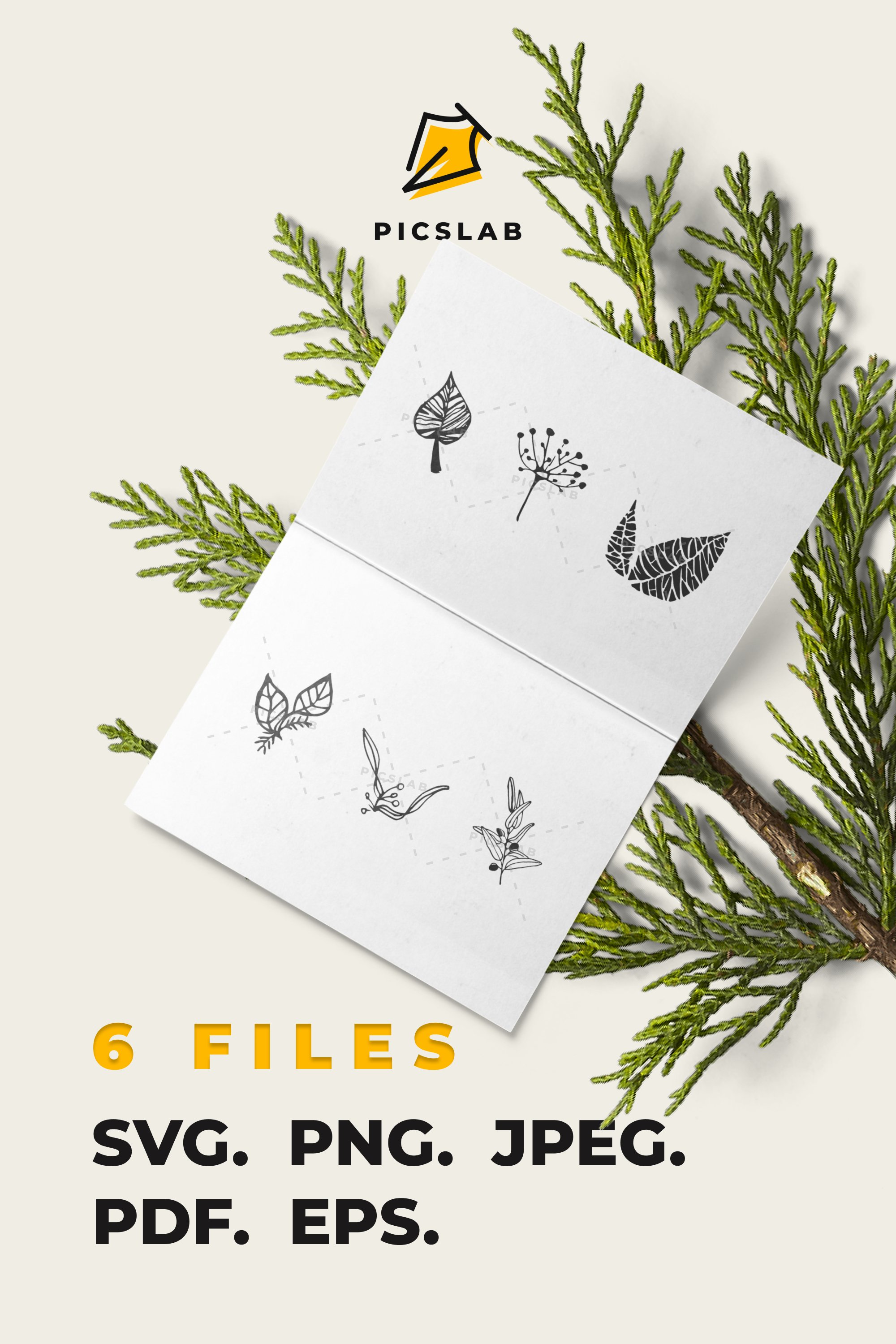 Leaves bundle, plants bundle (627488)