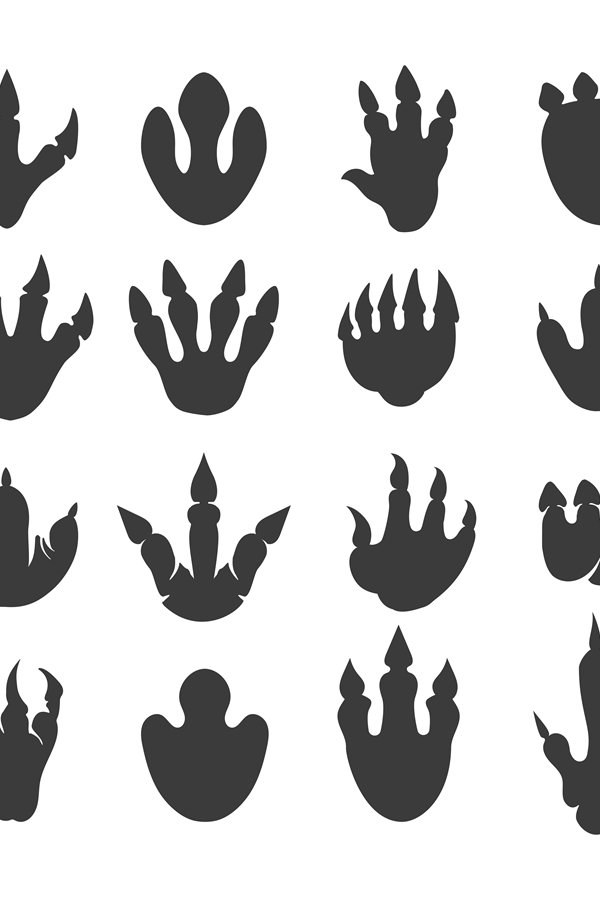 Vector reptile footprints or dinosaur tracks