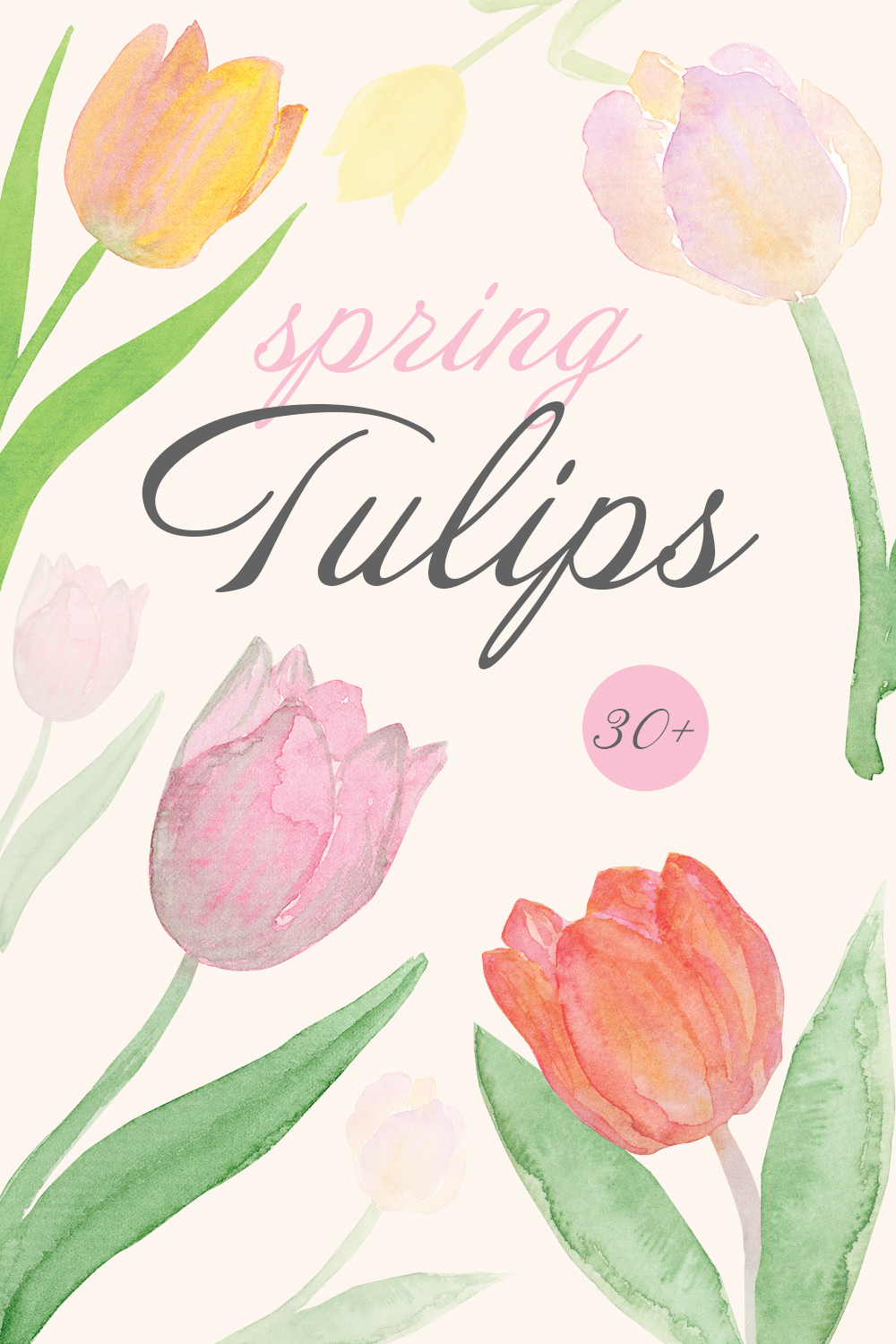 TULIPS Spring Watercolor Flowers