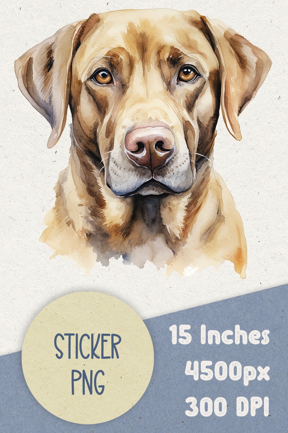 Labrador sublimation design, transparent PNG