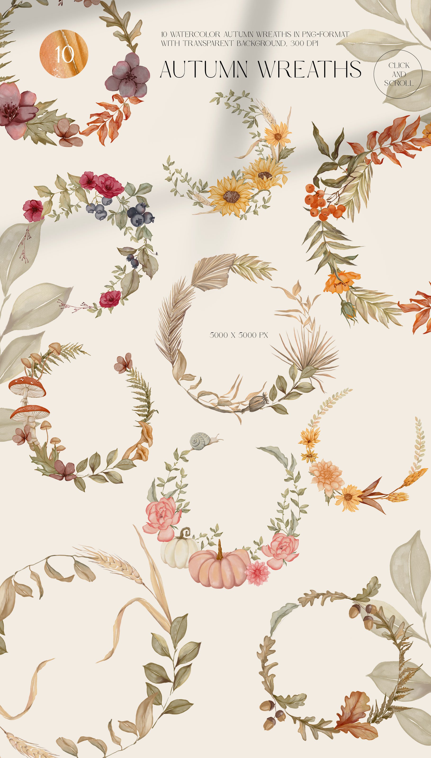 Autumn floral watercolor wreaths - 10 PNG fall wreaths