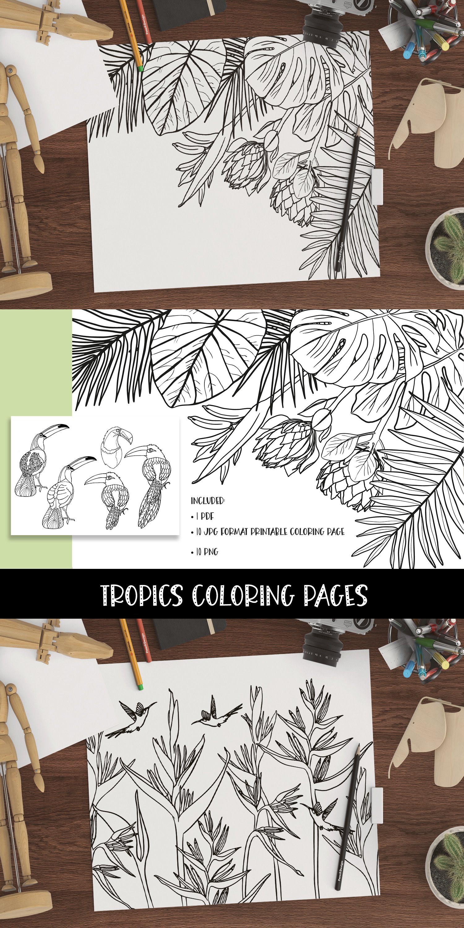 Tropics coloring pages