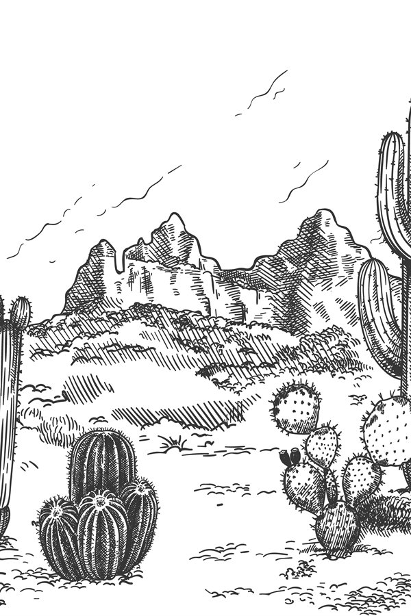 Desert landscape. Hand drawn mexican prairie with plants and