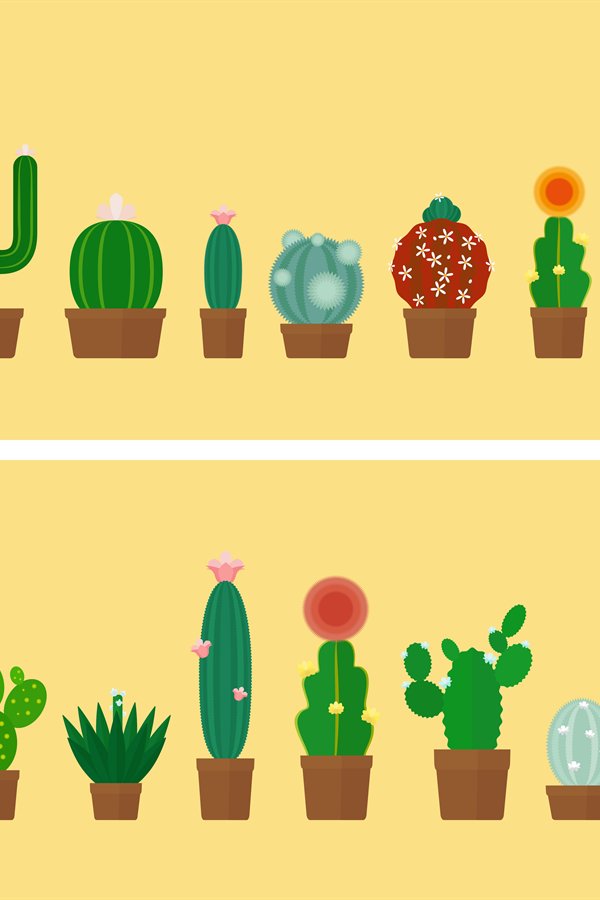 Cactus horizontal