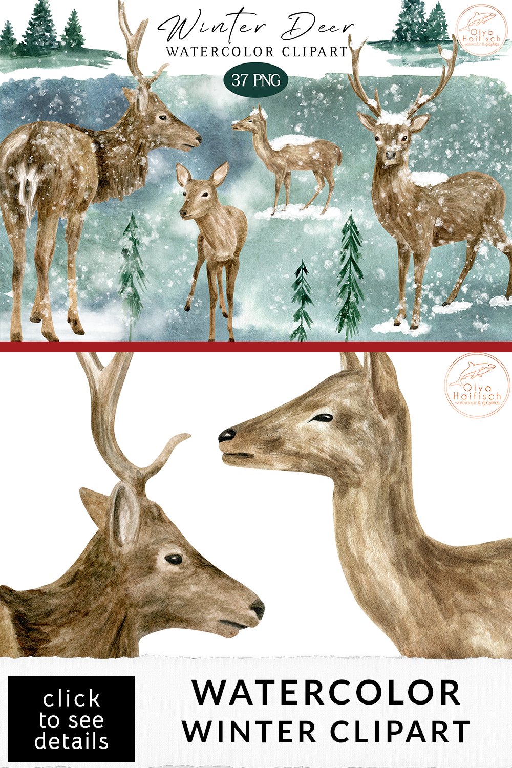 Watercolor Deer Clipart. Winter Woodland Animals PNG