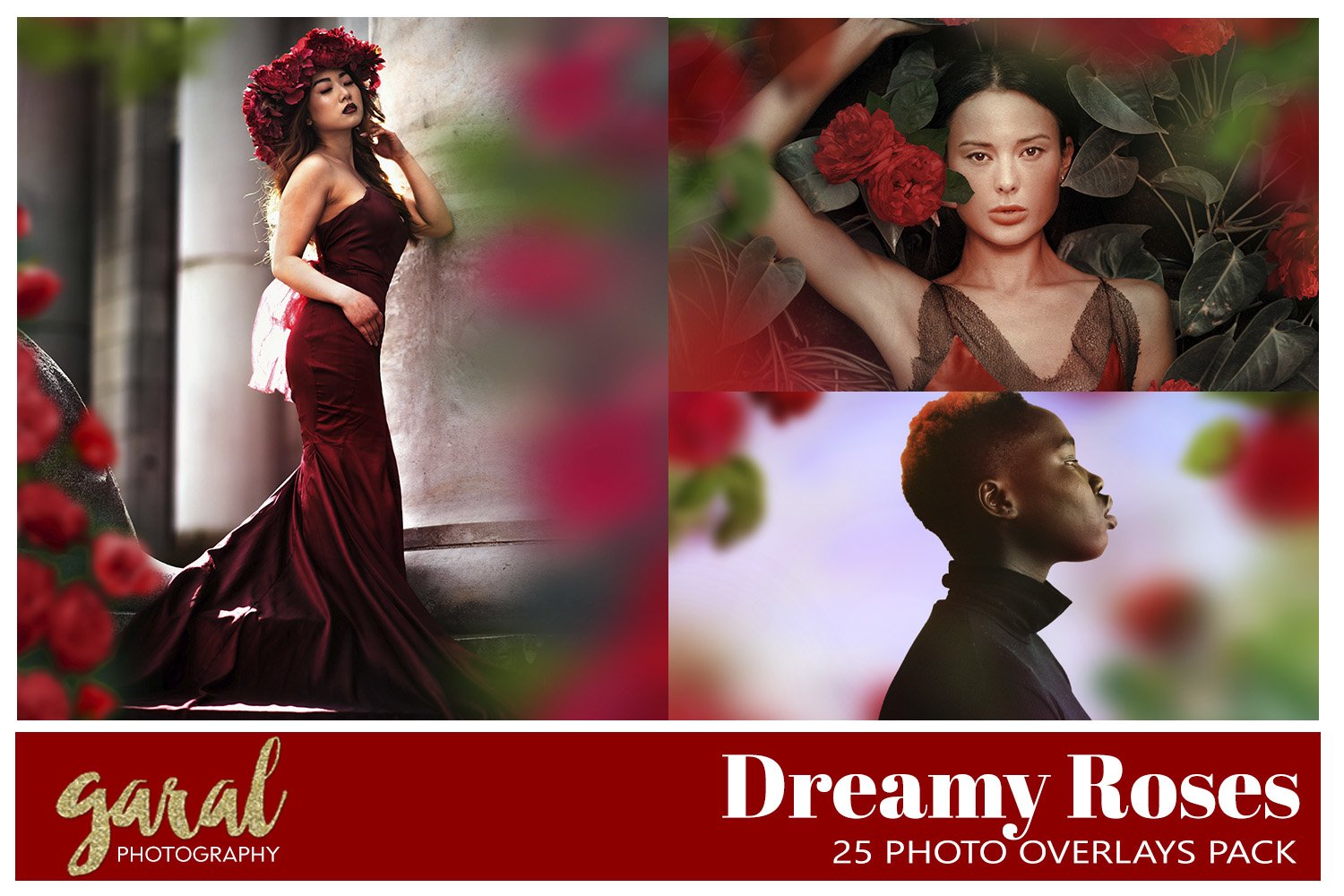 50 DREAMY ROSES Photo Overlays