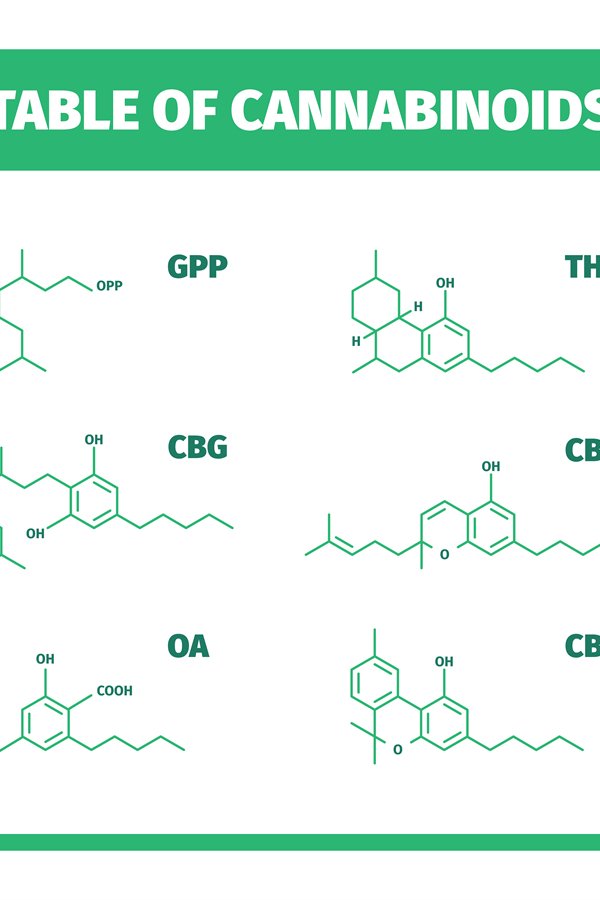 Cannabinoid structures. Molecular formula of cannabis drugs