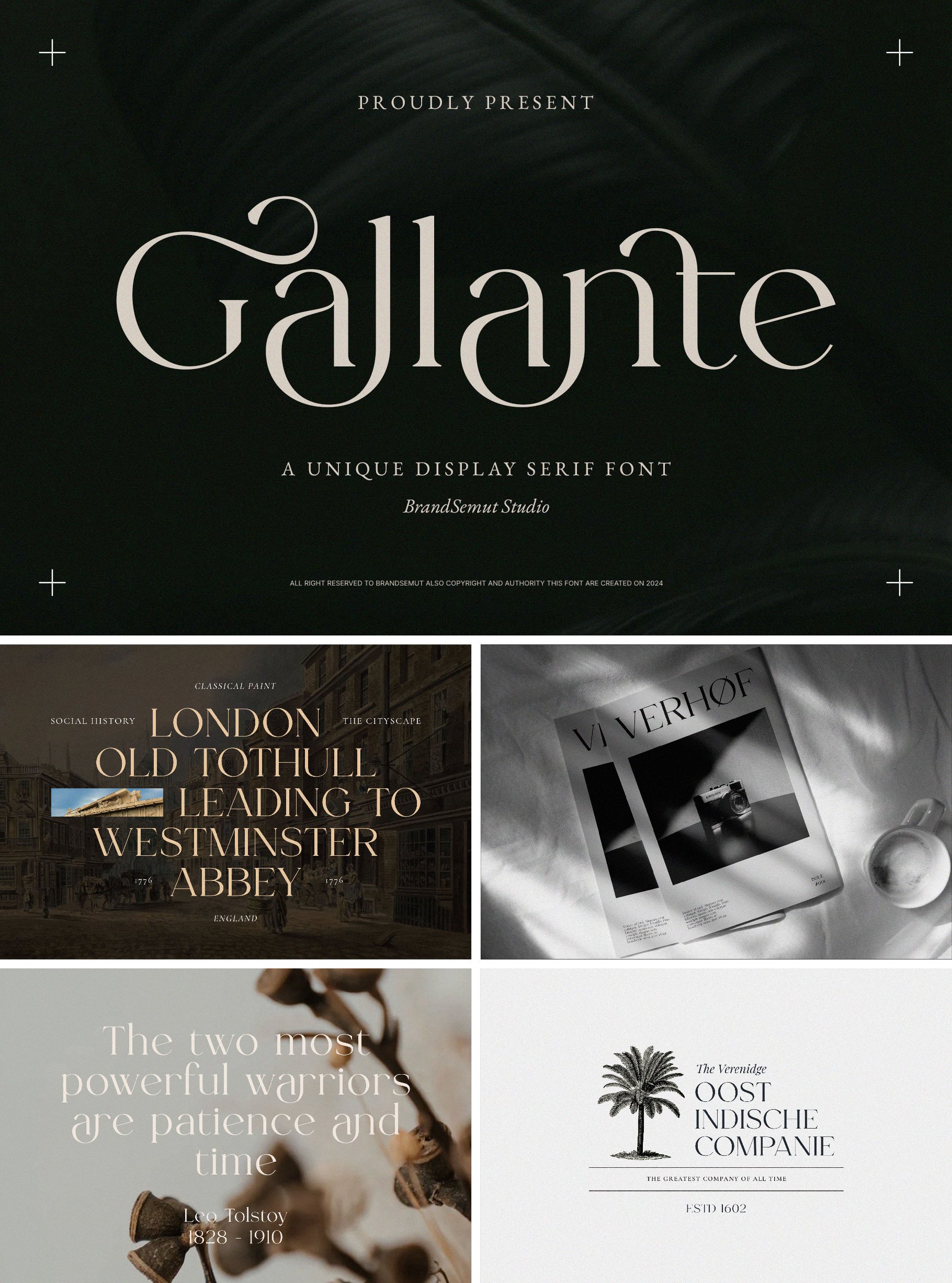 Gallante - A Unique Display Serif Font
