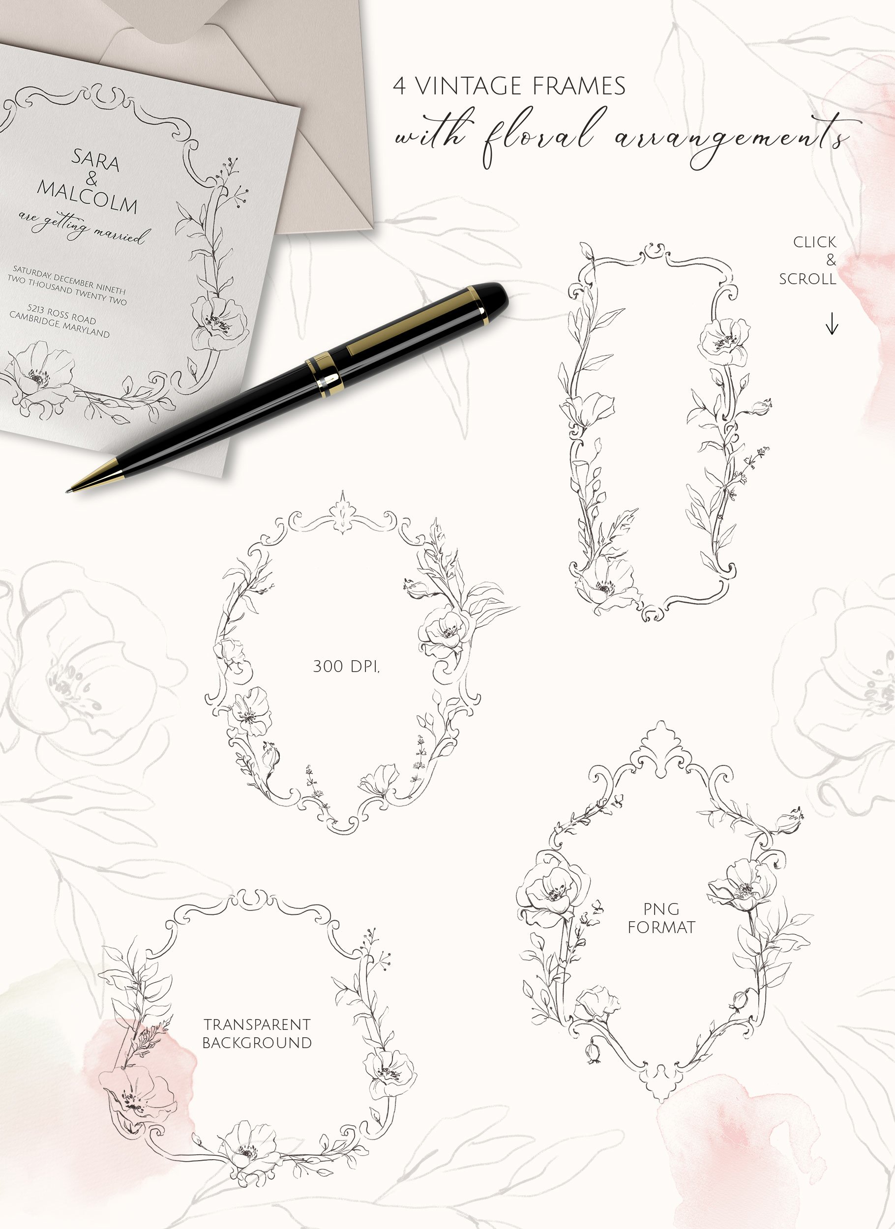Pencil floral vintage frames - 4 PNG line art frames