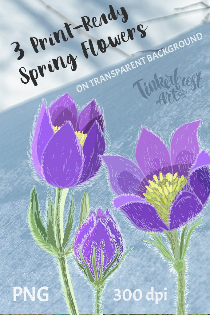 Spring flowers on transparent background