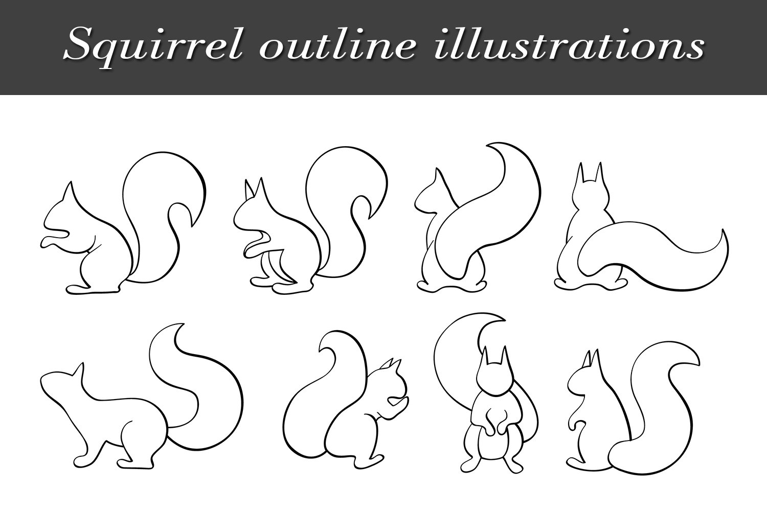 Squirrels (1122688)