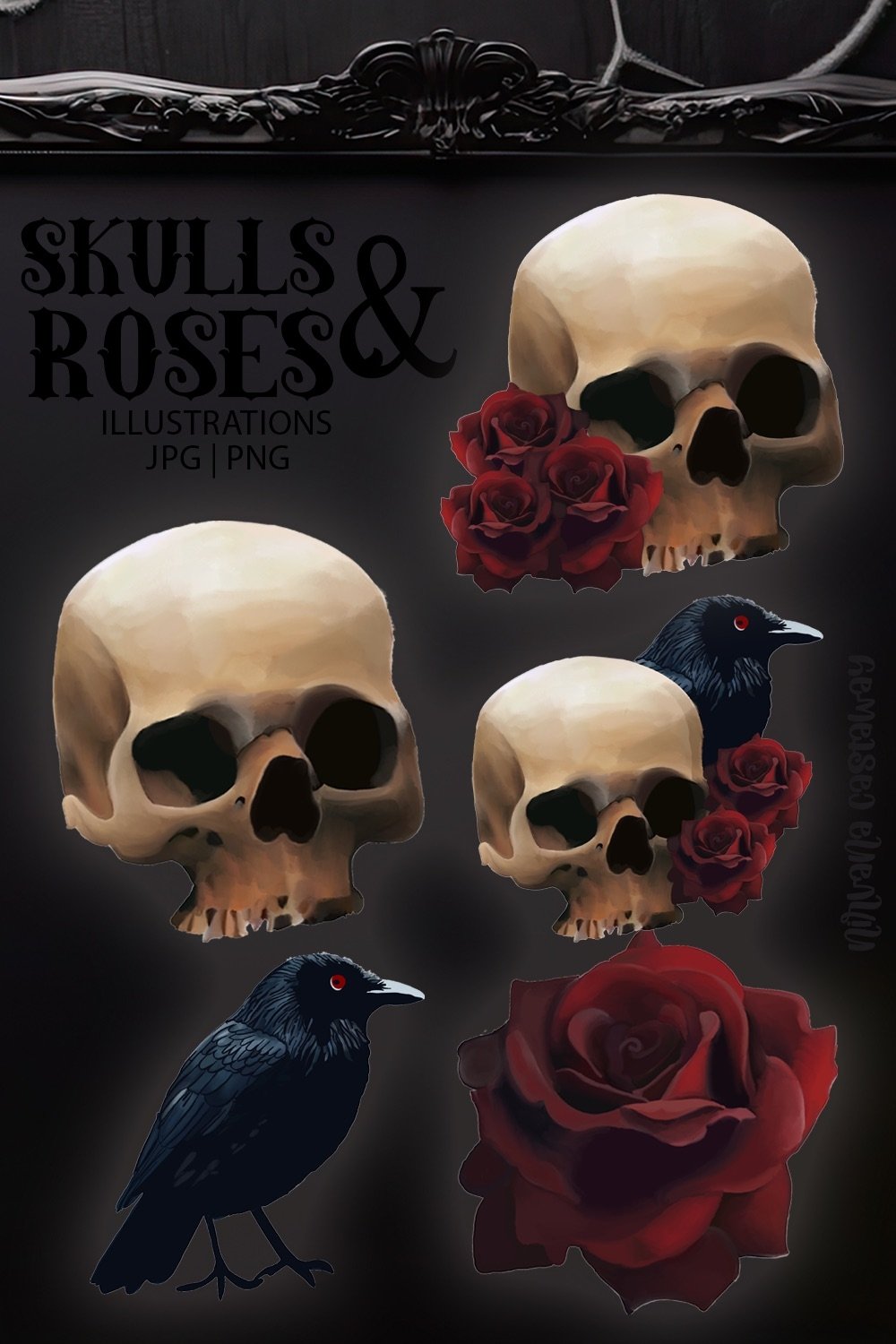 Skull Gothic Rose Halloween Gothic Illustration