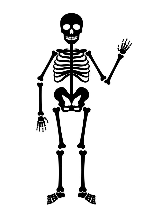 Vector halloween black skeleton