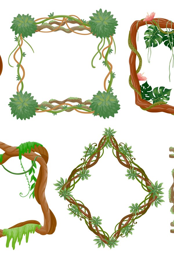 Jungle liana frames. Cartoon rainforest branches with moss,