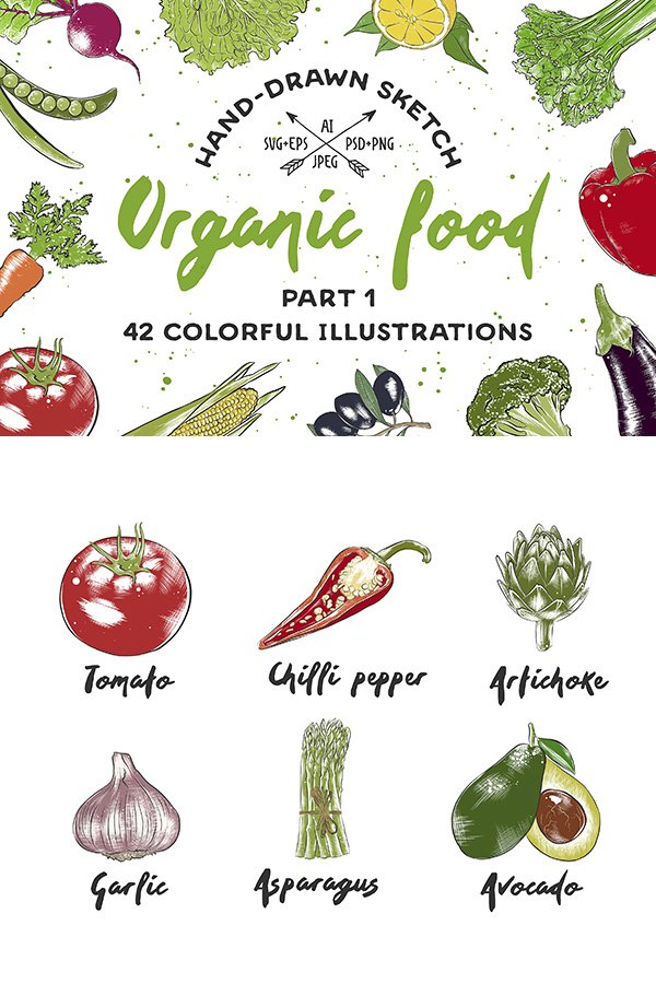 Set of 42 organic food sketches
