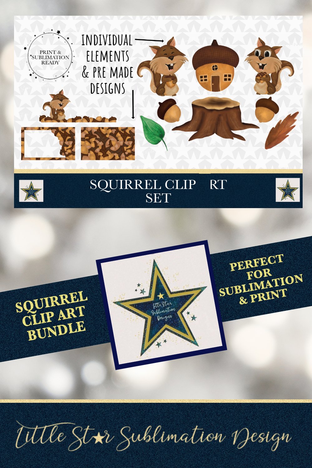 Woodland Squirrel Clip Art Set