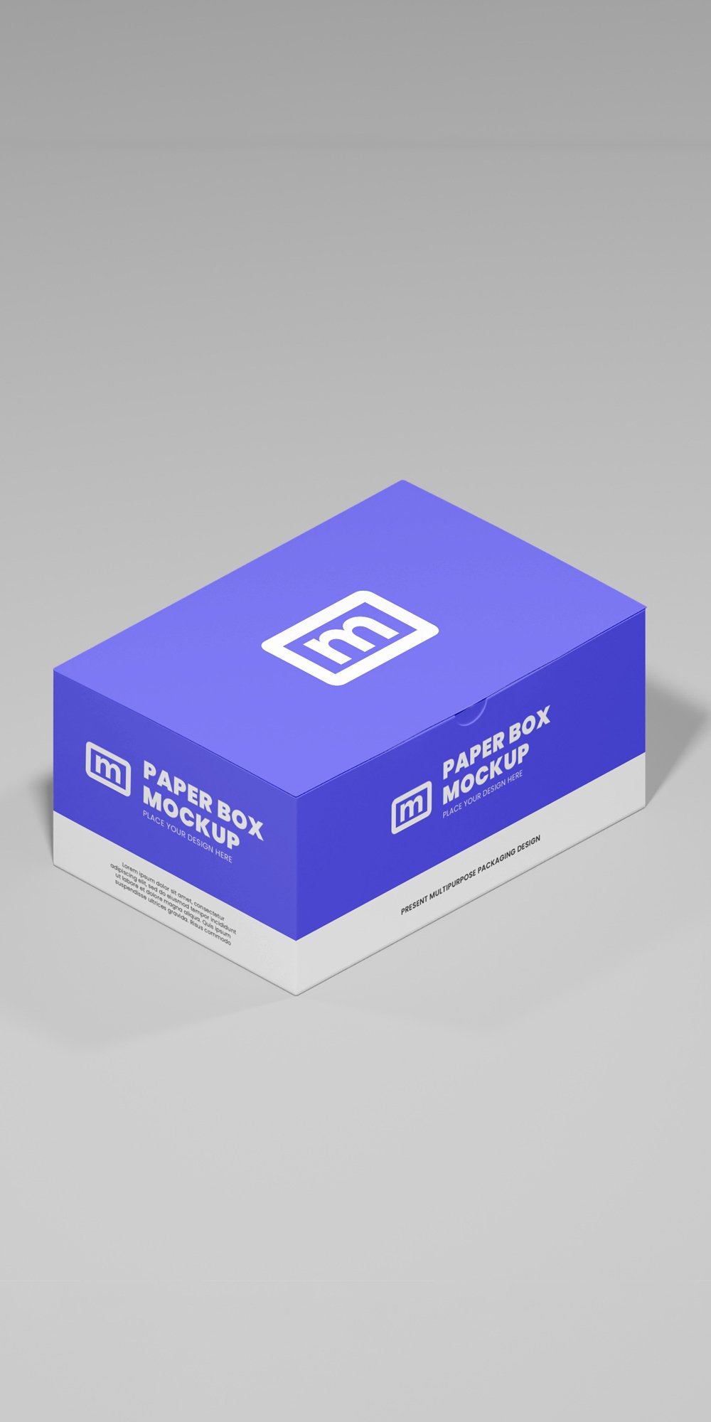 Rectangular Paper Box Mockup