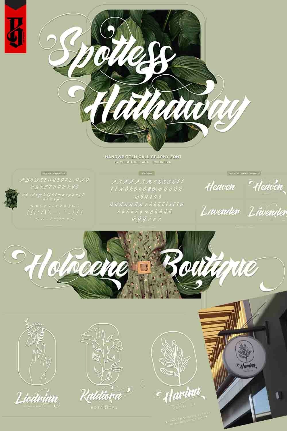 Spotless Hattaway - Calligraphy Font