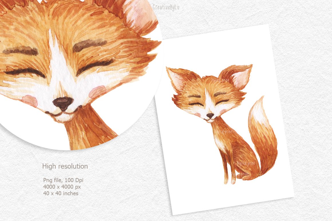 Watercolor Fox clipart (1179183)