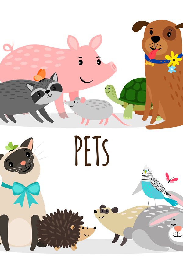 Cartoon character groups of vector pets isolated on white ba