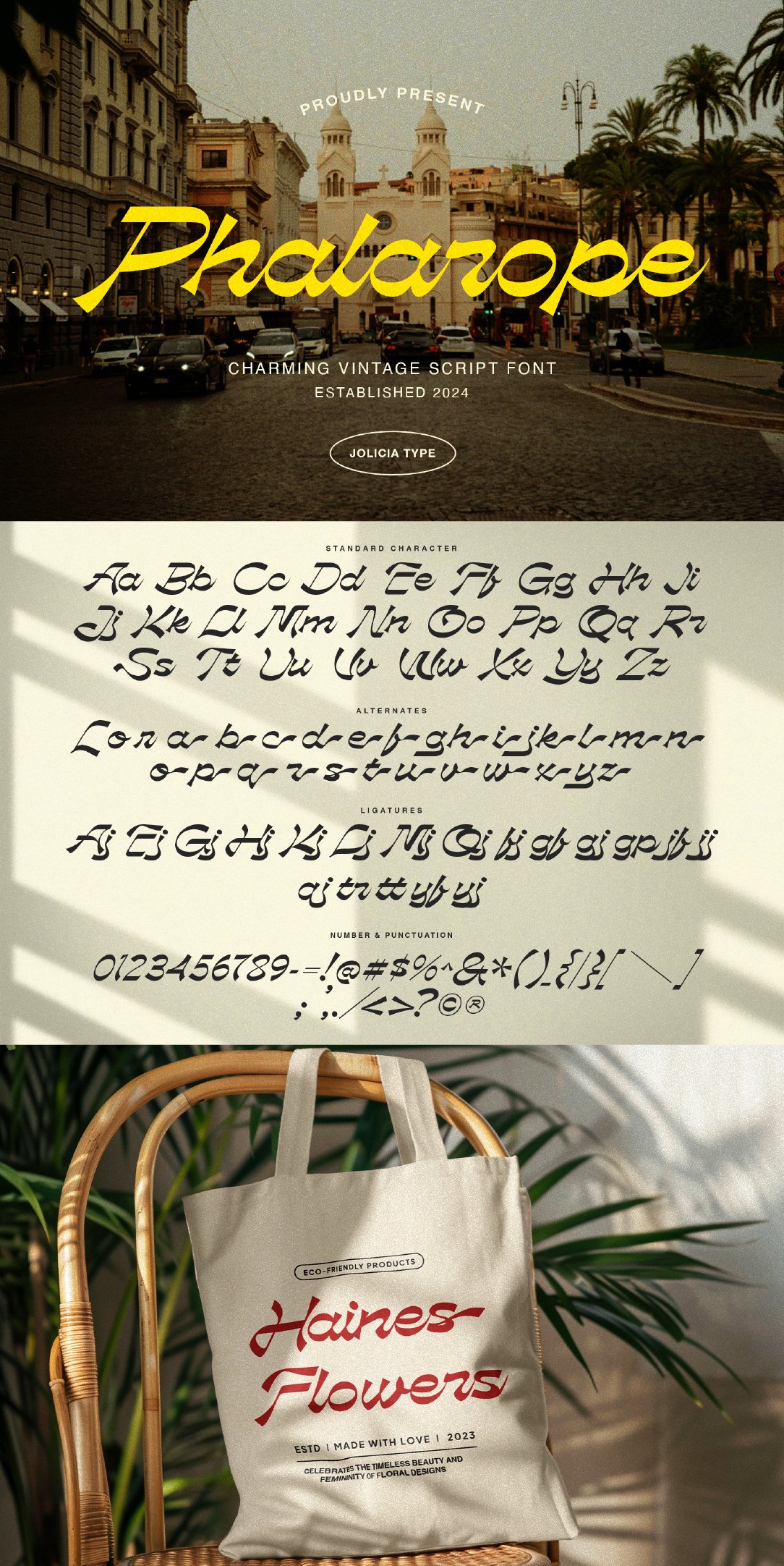 Phalarope | Reverse Contrast Script Font