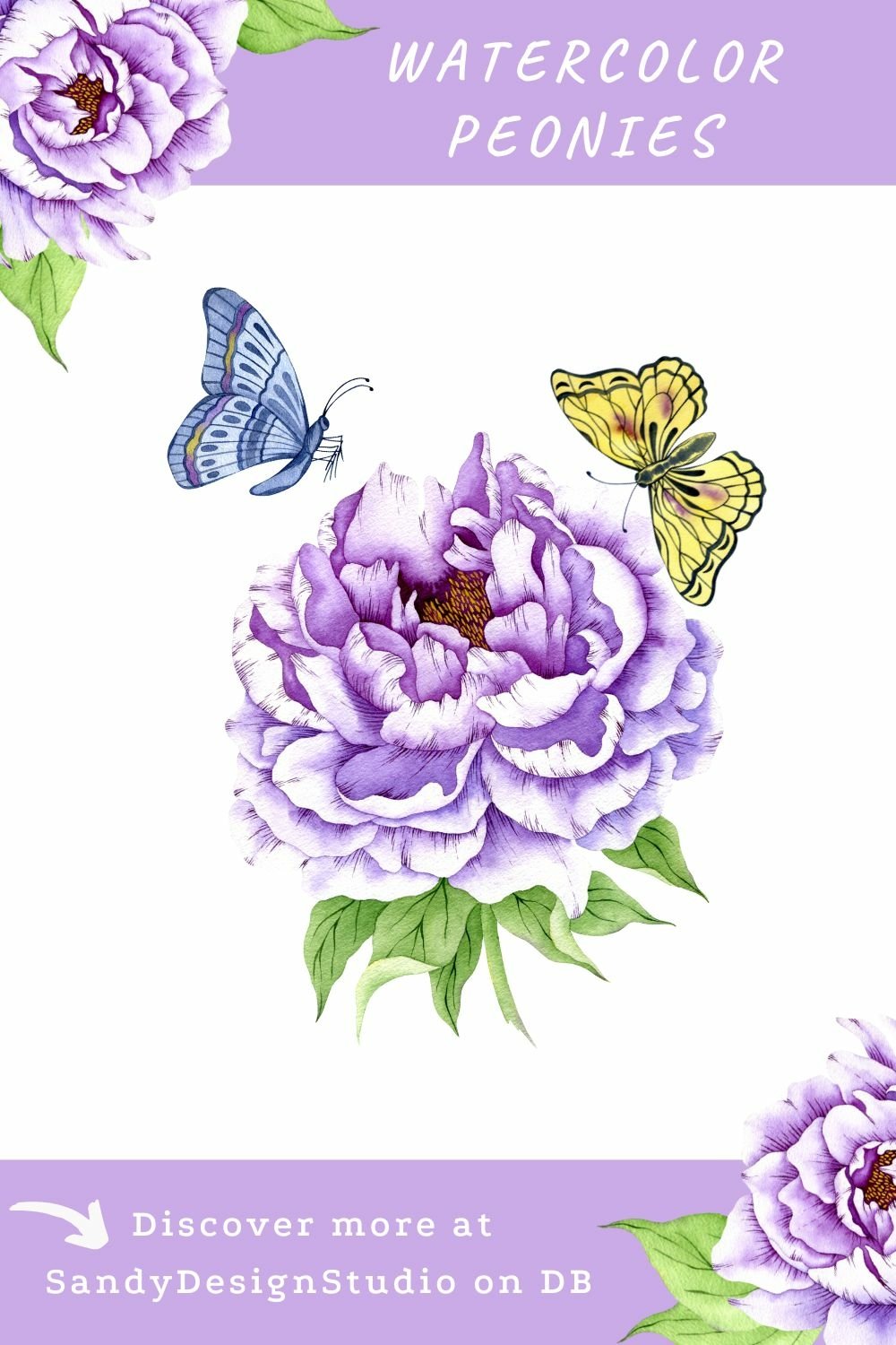 Watercolor Peonies png bundle | Purple flowers clipart