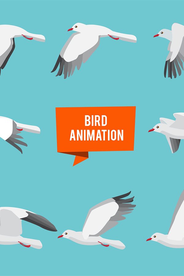 Key frames of animation flying bird