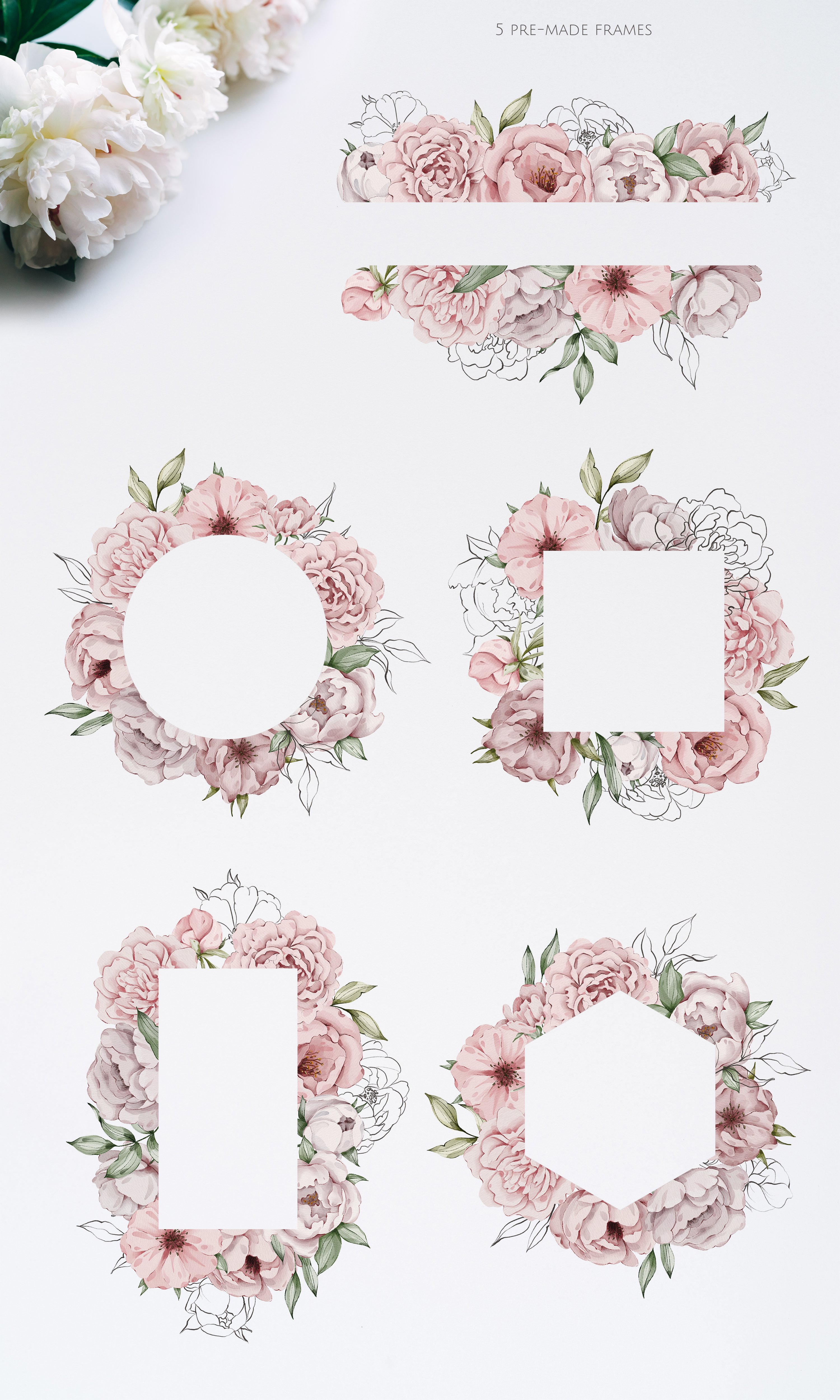 5 Watercolor Peony Frames