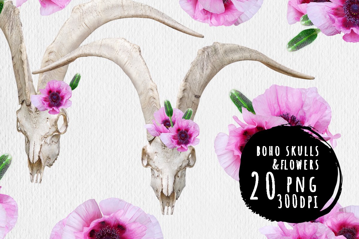 Pink poppy and skulls. Tender spring Boho clip art