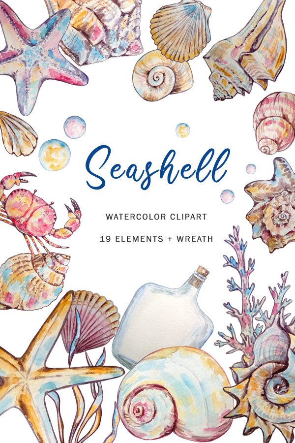 Watercolor Clipart Seashell Collection