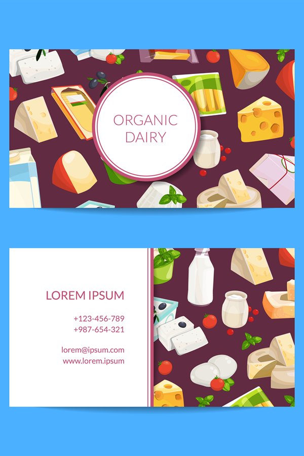 Vector cartoon milk and cheese business card template