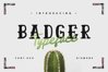 Badger Font Duo (42142) | Other | Font Bundles