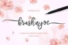 Brushnyoe (233391) | Brush | Font Bundles