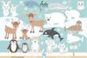 Arctic Animals Clipart (156260) | Characters | Design Bundles