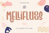 Mellifluous | Fun Handwritten Font (845834) | Fancy | Font Bundles