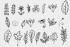 72 Botanical Doodles (193380) | Illustrations | Design Bundles