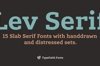 Lev Serif (191) | Regular | Font Bundles